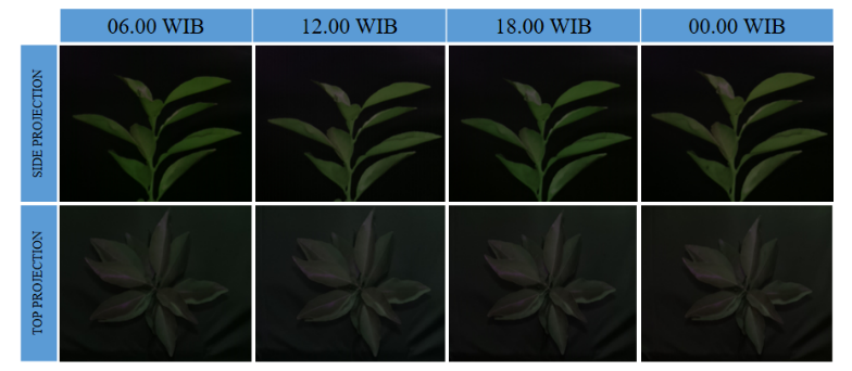 “Automatic Growth Chamber” Sebuah Sistem Monitoring Otomatis Ritme ...
