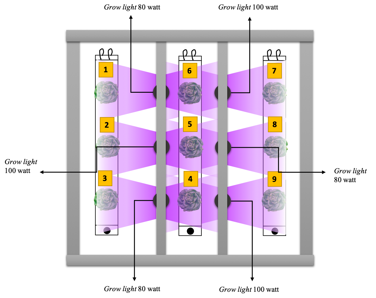 Prediksi Pertumbuhan Tanaman Pada Plant Factory dengan Metode Jaringan ...